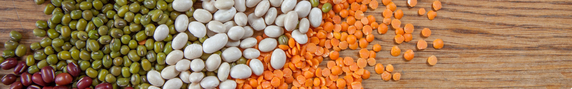 Forest Whole Foods - A Wide Selection Of Organic Beans & Pulses