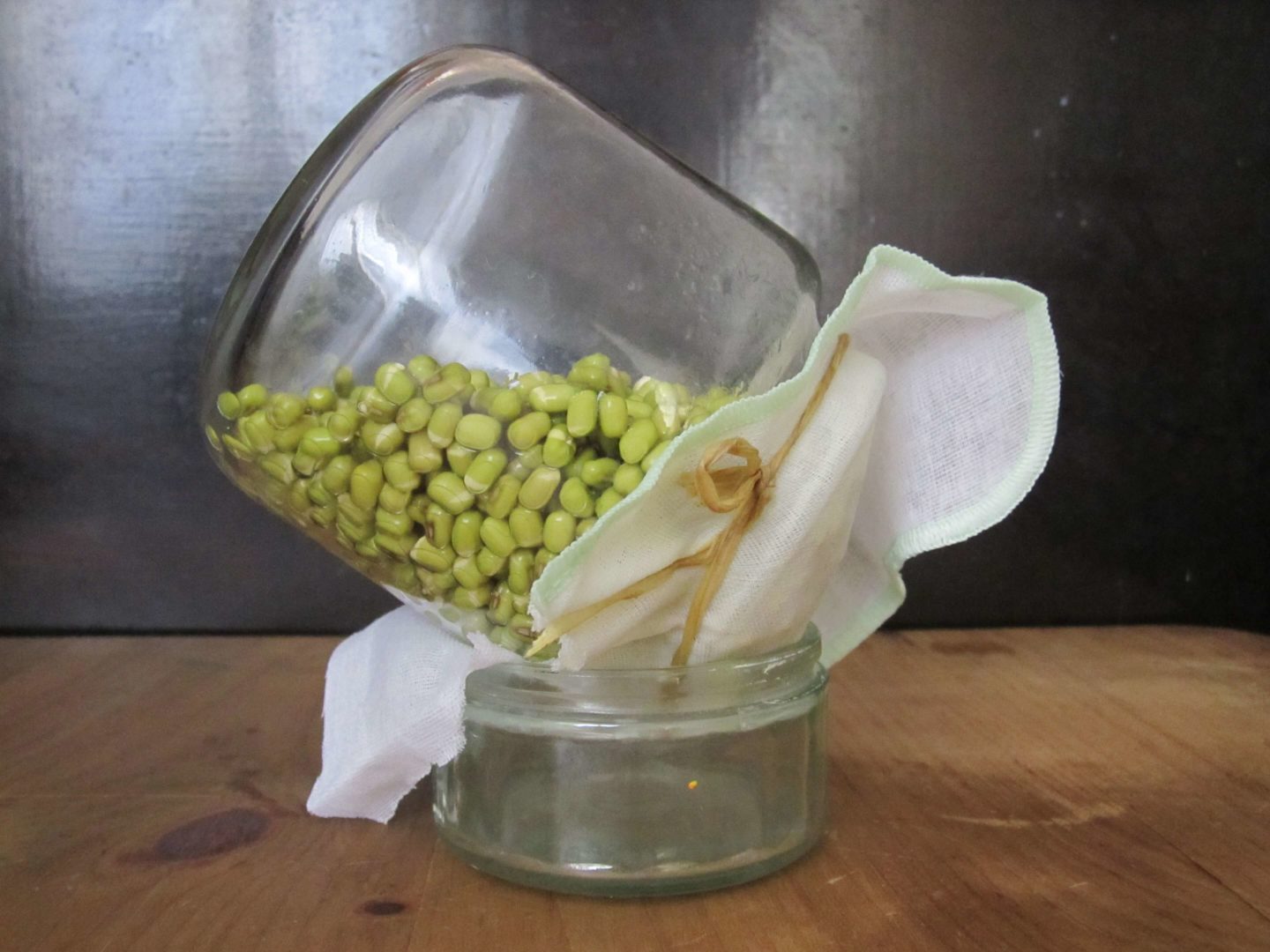 How Do I Start Sprouting? - Forest Whole Foods